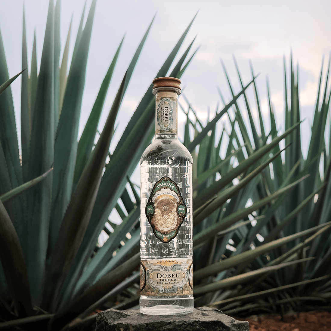 Dobel Tahona | Maestro Dobel Tequila – Maestro Dobel® Tequila